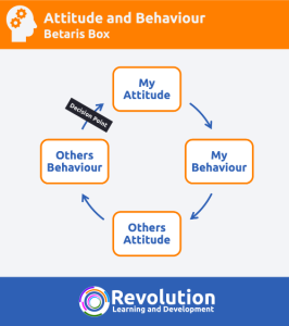 The Betari Box Model - Wellbeing Articles